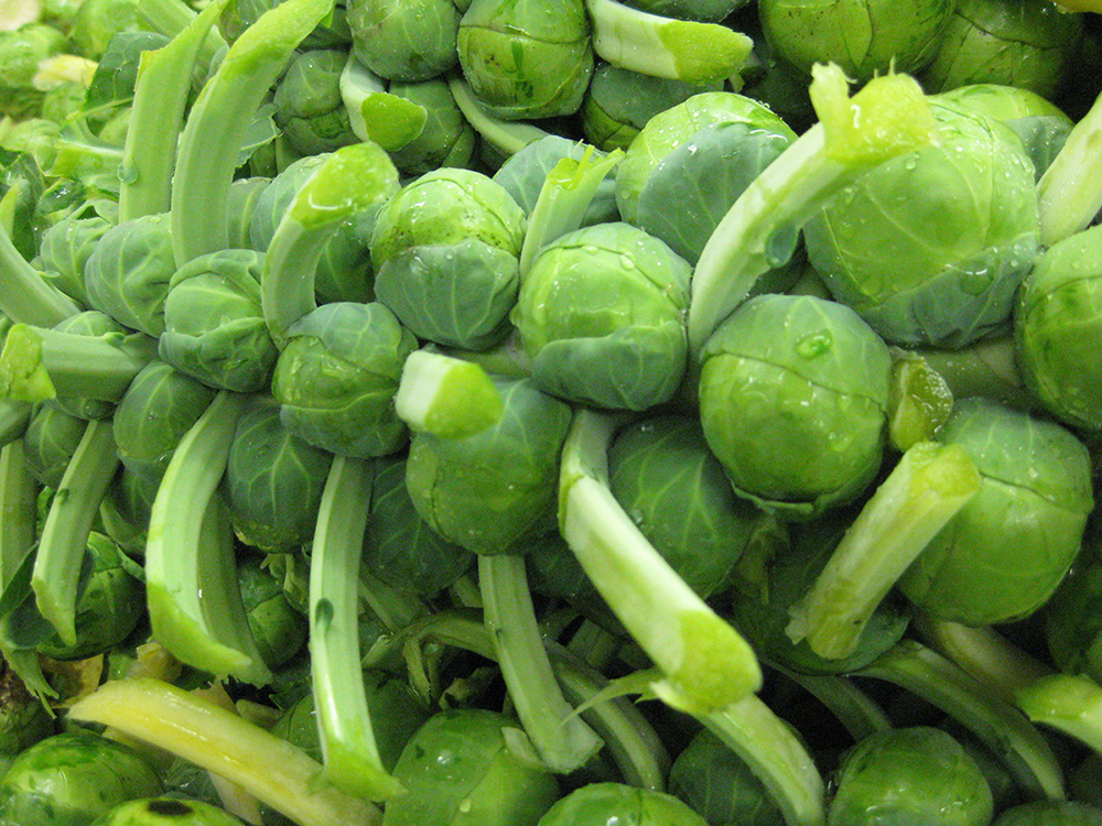 Michells-brussles - Island Vegetable Cooperative Association
